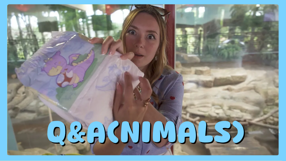 LNGU Q&A(nimals) at Zoo – LNGU-ABDL